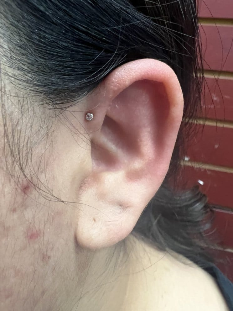 Sugandi Piercings & Tattoo Supplies Offers Gold Body Jewelry in North ...